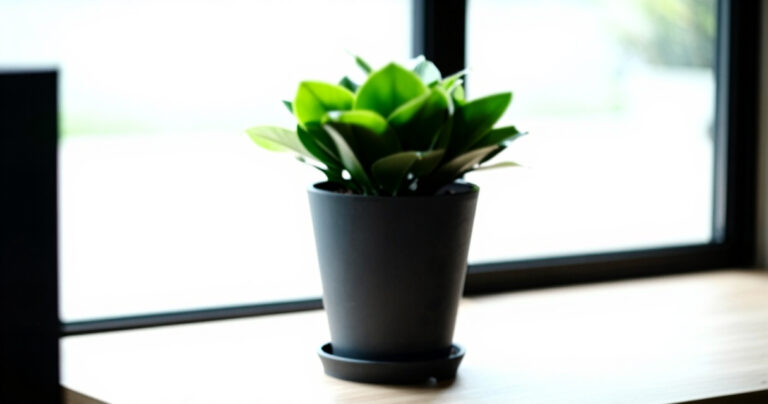 10 Best High End Planter Pots in 2026 - Home Garden Glow