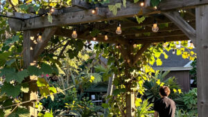 15 Best Outdoor String Lights for Patios and Backyards in 2026 - Home ...